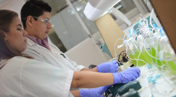 Laboratorios UAO - UAO Portal