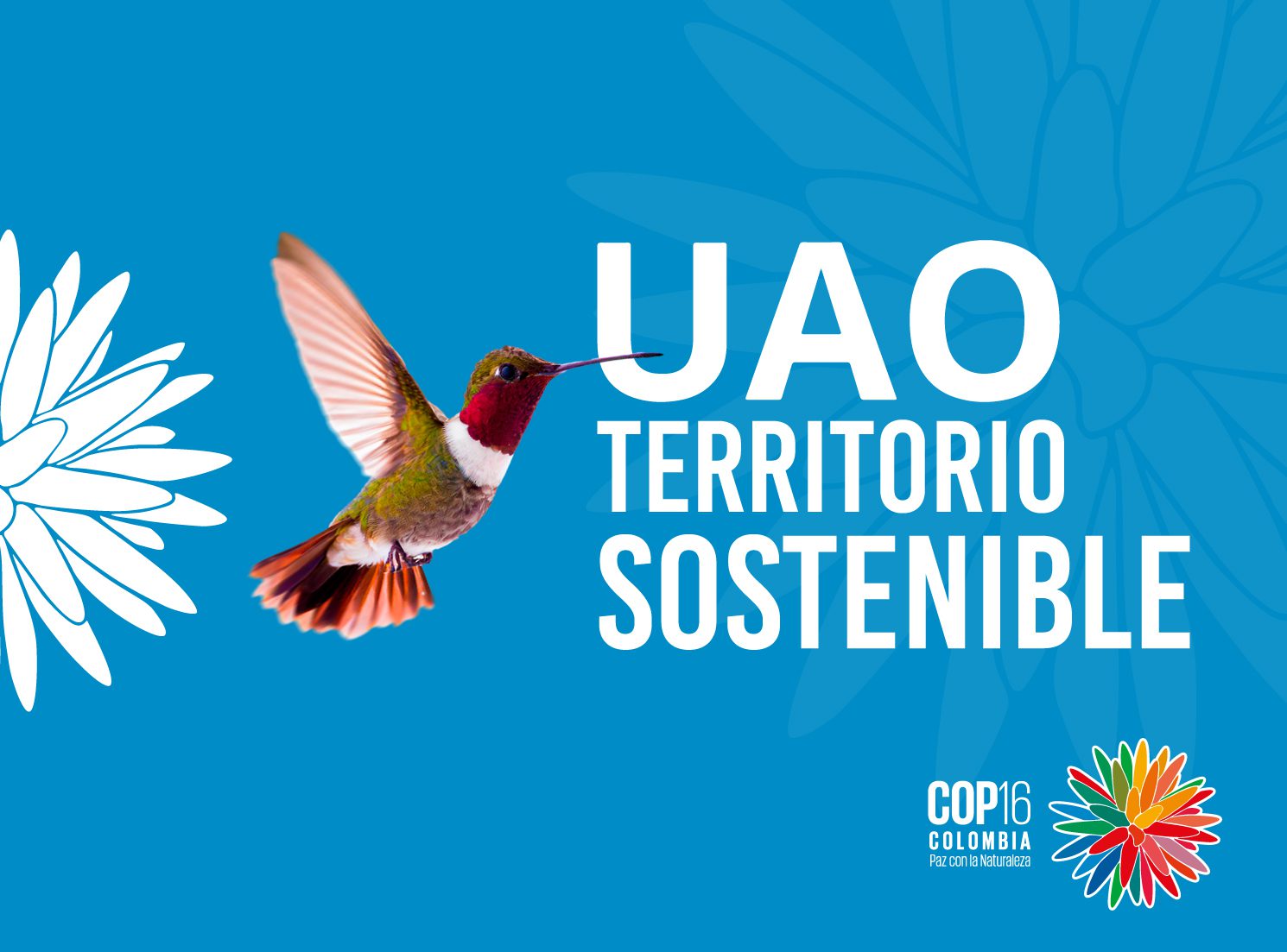 Conoce UAO Territorio Sostenible: Campus conectado e inteligente - UAO ...